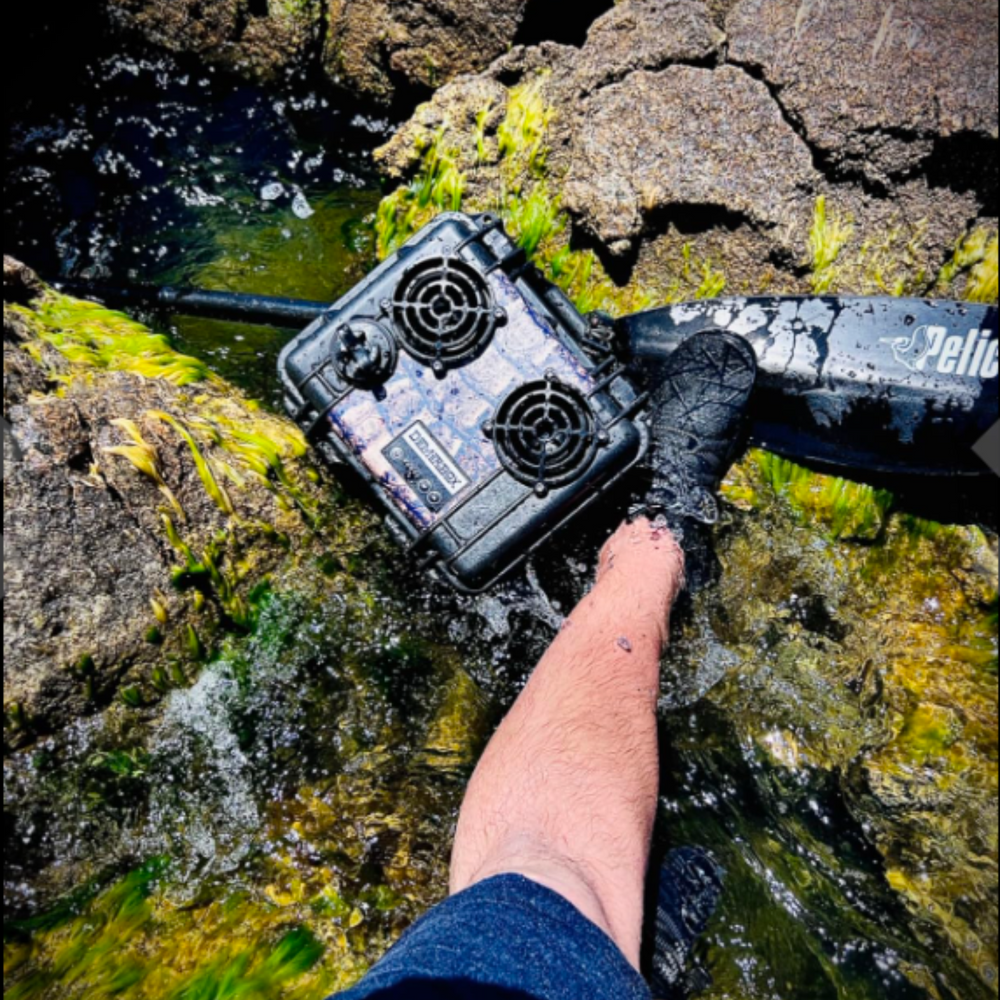 DemerBox VS Turtlebox